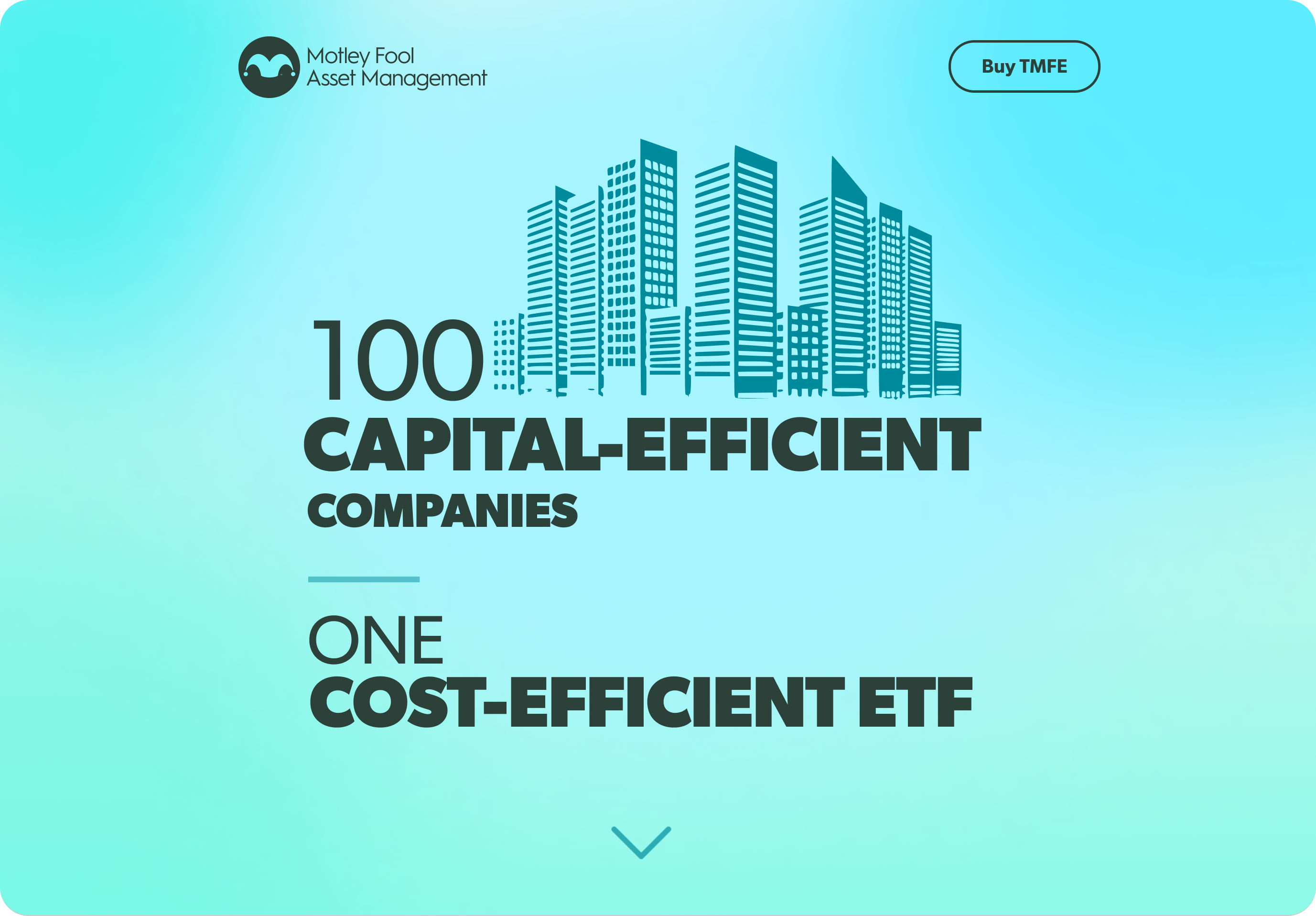 Motley Fool Capital Efficiency Index ETF (TMFE)